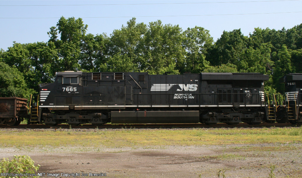 NS 7665 on 66Z